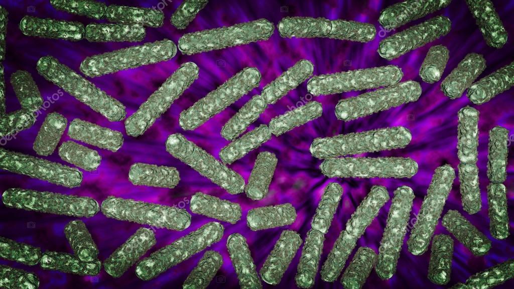 E.Coli Bacteria Cells Stock Photo by ©ezumeimages 85618704