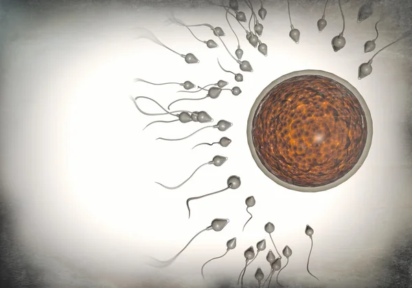 Ova Stock Photos, Royalty Free Ova Images | Depositphotos