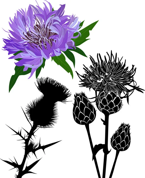 Noxious Weed Clipart