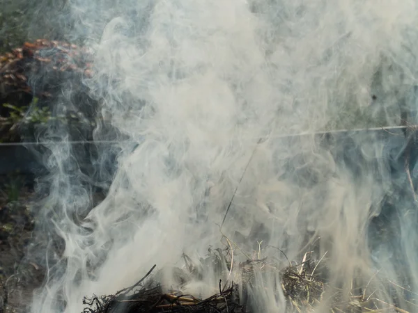 Cremation of ashes Stock Photos, Royalty Free Cremation of ashes Images ...