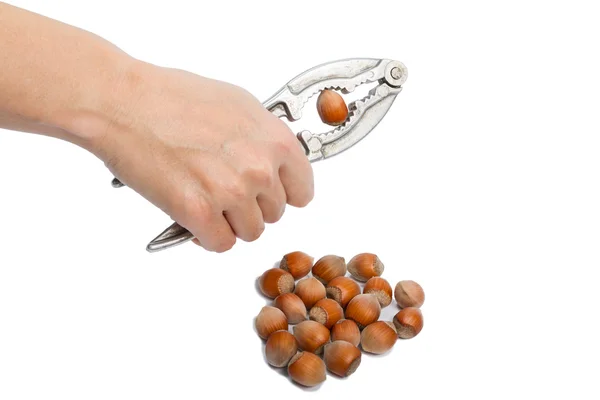 Hand cracking a walnut with metal nutcracke — Stock Photo © Pirotehnik ...