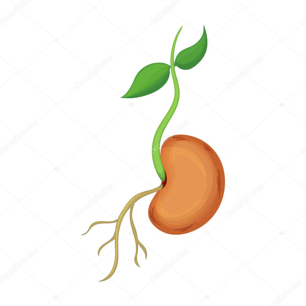 Frijoles vector icono de dibujos animados. Vector ilustración frijol ...