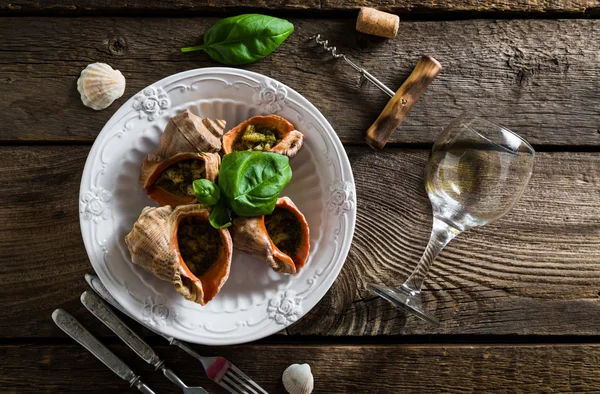 ⬇ Скачать картинки Рапана, стоковые фото Рапана в хорошем качестве ...