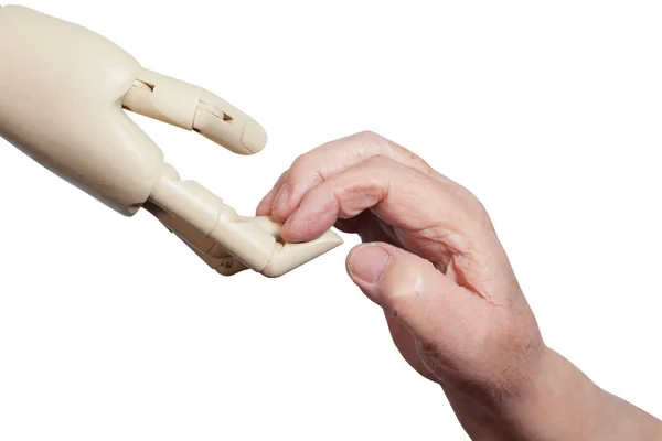 Model of the hand Stock Photos, Royalty Free Model of the hand Images ...