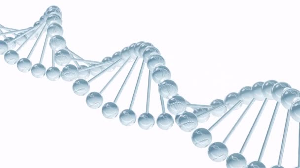 DNA model - looped animation — Stock Video © 3dart #124373698
