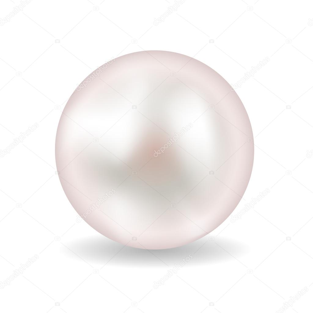 Pearl Vector Illustration Stock Vector Image By ©oleggankod 69590315