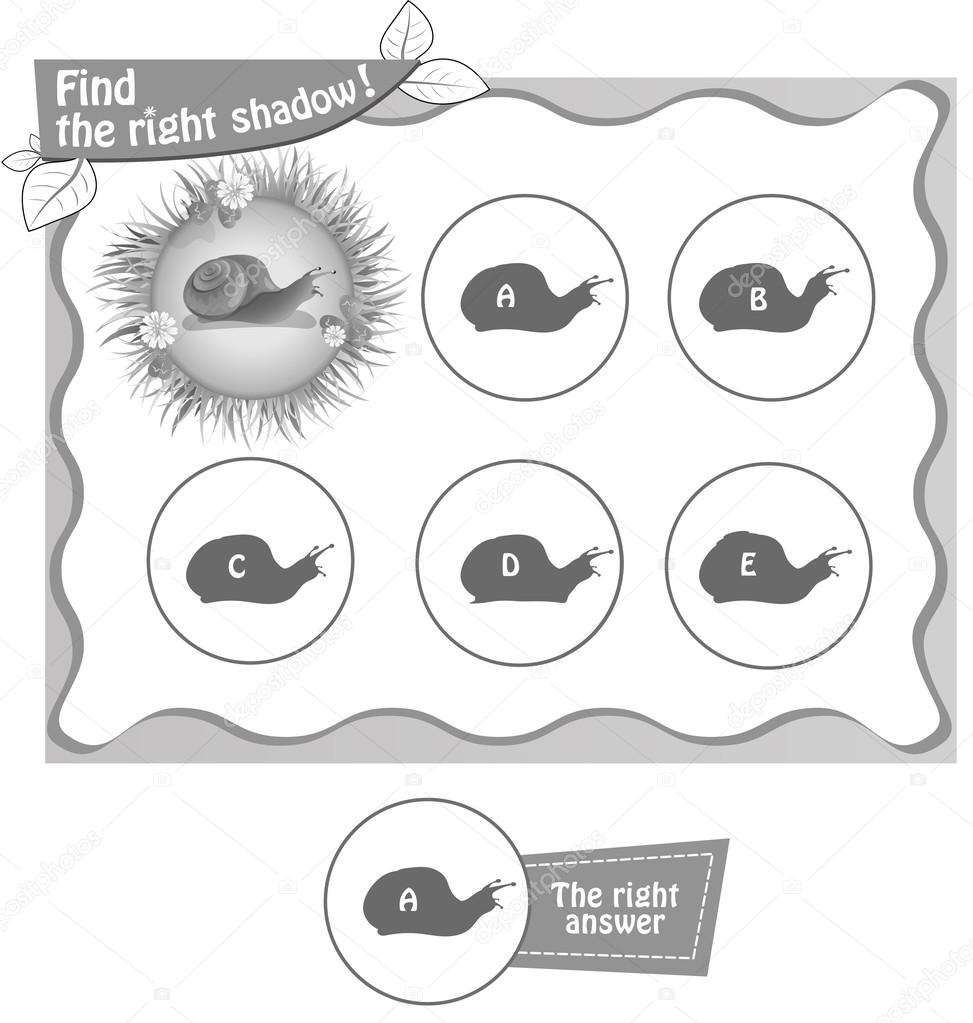Find right shadow snail Stock Vector Image by ©rodnikovay1 #116923786