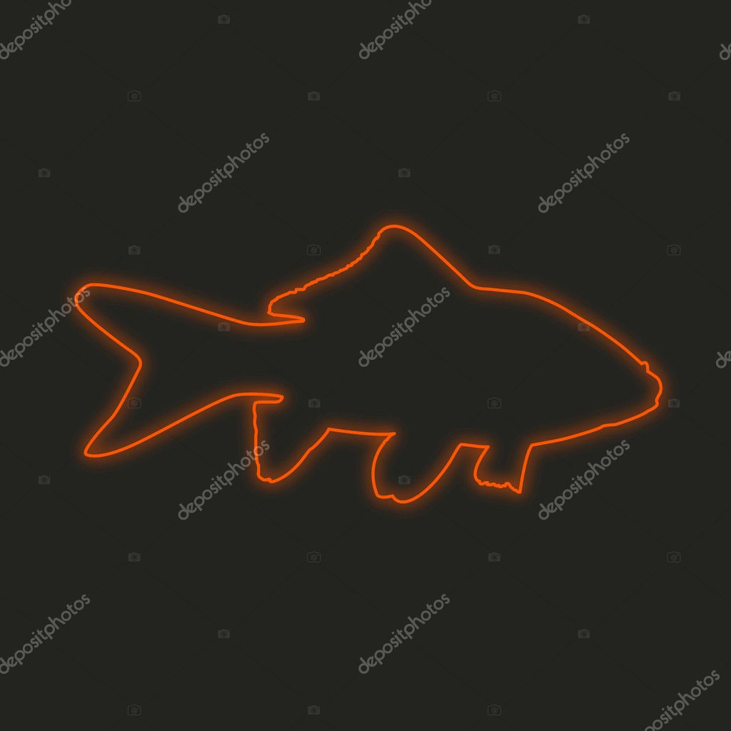 Neon Icon Isolated Black Background Goldfish — Stock Photo ...