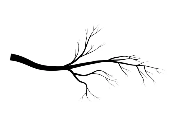 Bare branch tree silhouette vector symbol icon design. Beautiful ...