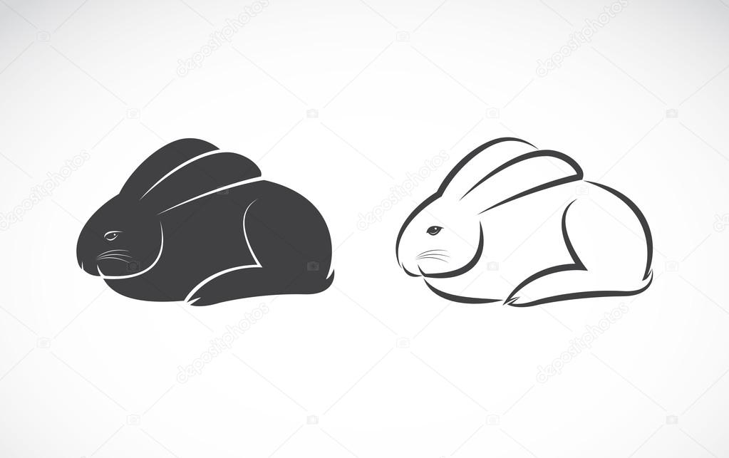 Vector image of an rabbit design on white background Stock Vector by ...