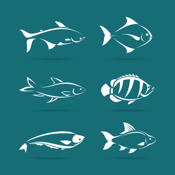 Vector group of fish on white background Stock Vector Image by ©yod67 ...