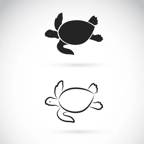 Simple Turtle Designs