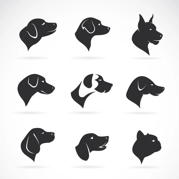 Cabeza de perfil perro imágenes de stock de arte vectorial | Depositphotos