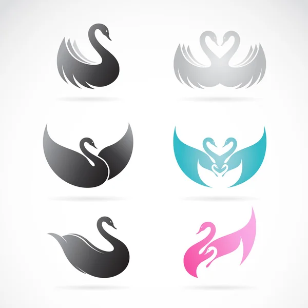 15,196 Swan Vectors, Royalty-free Vector Swan Images | Depositphotos®