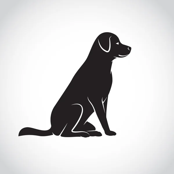 24,831 Black lab Vectors, Royalty-free Vector Black lab Images ...