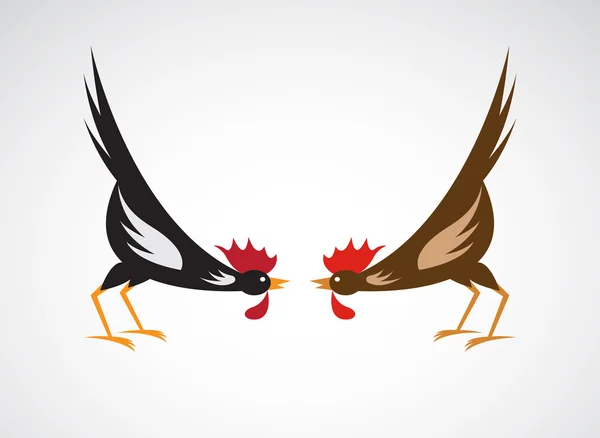 Fighting Roosters Drawings