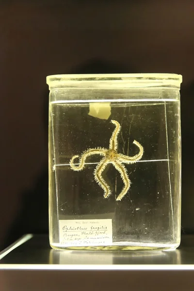 Water and dna Stock Photos, Royalty Free Water and dna Images ...