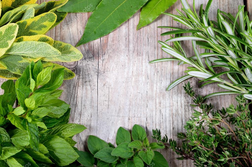 Fresh herbs frame wooden background. — Stock Photo © geo-grafika #55343419