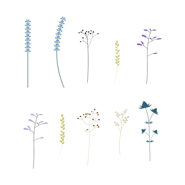 Statice Flower Tattoo