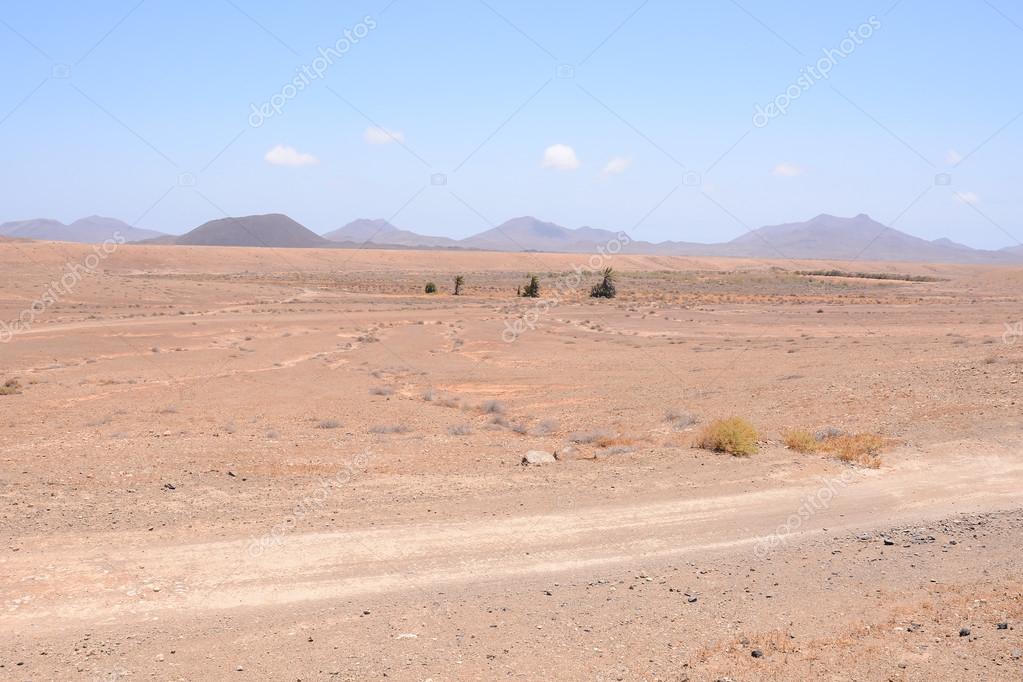 Dry Desert Landscape — Stock Photo © underworld1 #98169870