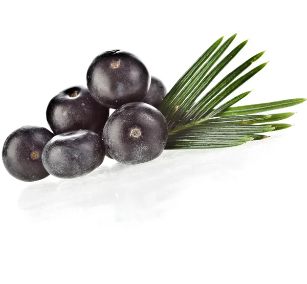 Berry tree Stock Photos, Royalty Free Berry tree Images | Depositphotos®