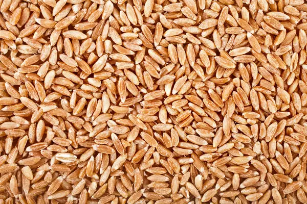 Spelt Grains top view surface — Stock Photo © Madllen #75656359