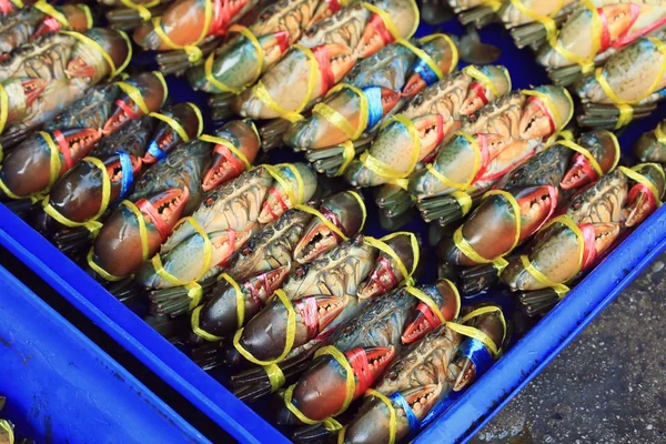 Blue crab market Stock Photos, Royalty Free Blue crab market Images ...