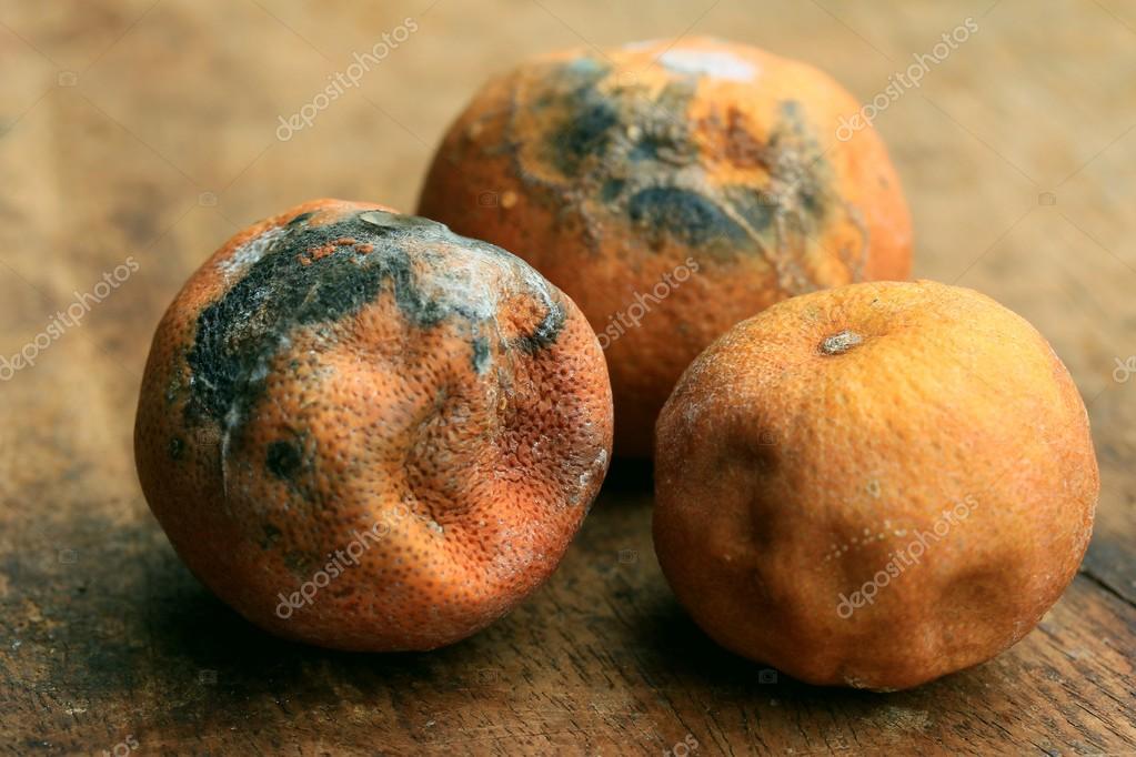 Rotten lemon Stock Photo by ©oilslo 79172226