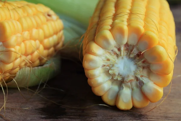 Organismos geneticamente modificados Stock Photos, Royalty Free ...