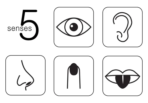 Sense icon Stock Vectors, Royalty Free Sense icon Illustrations ...