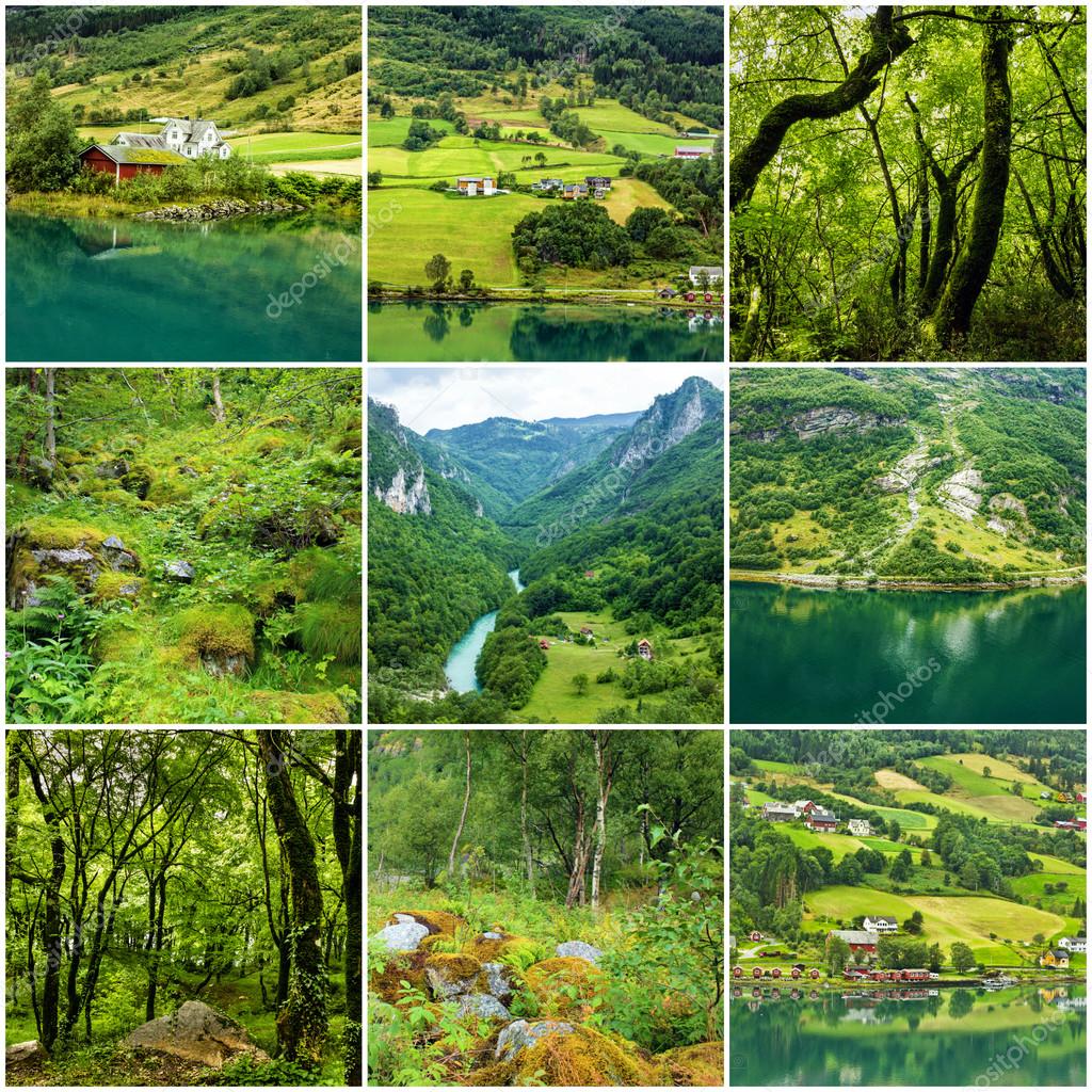 Collage green natural summer landscapes. ⬇ Stock Photo, Image by ...