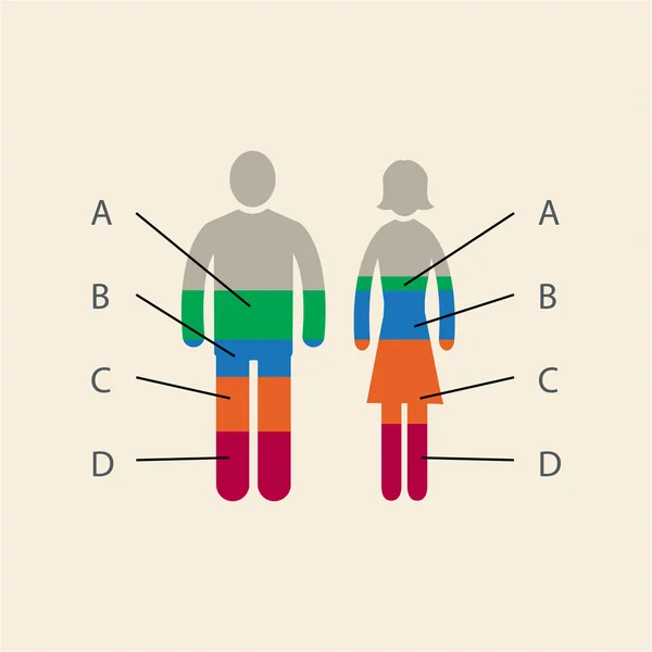 Conceptual infographic gender chart Stock Vector Image by ©HonzaHruby ...