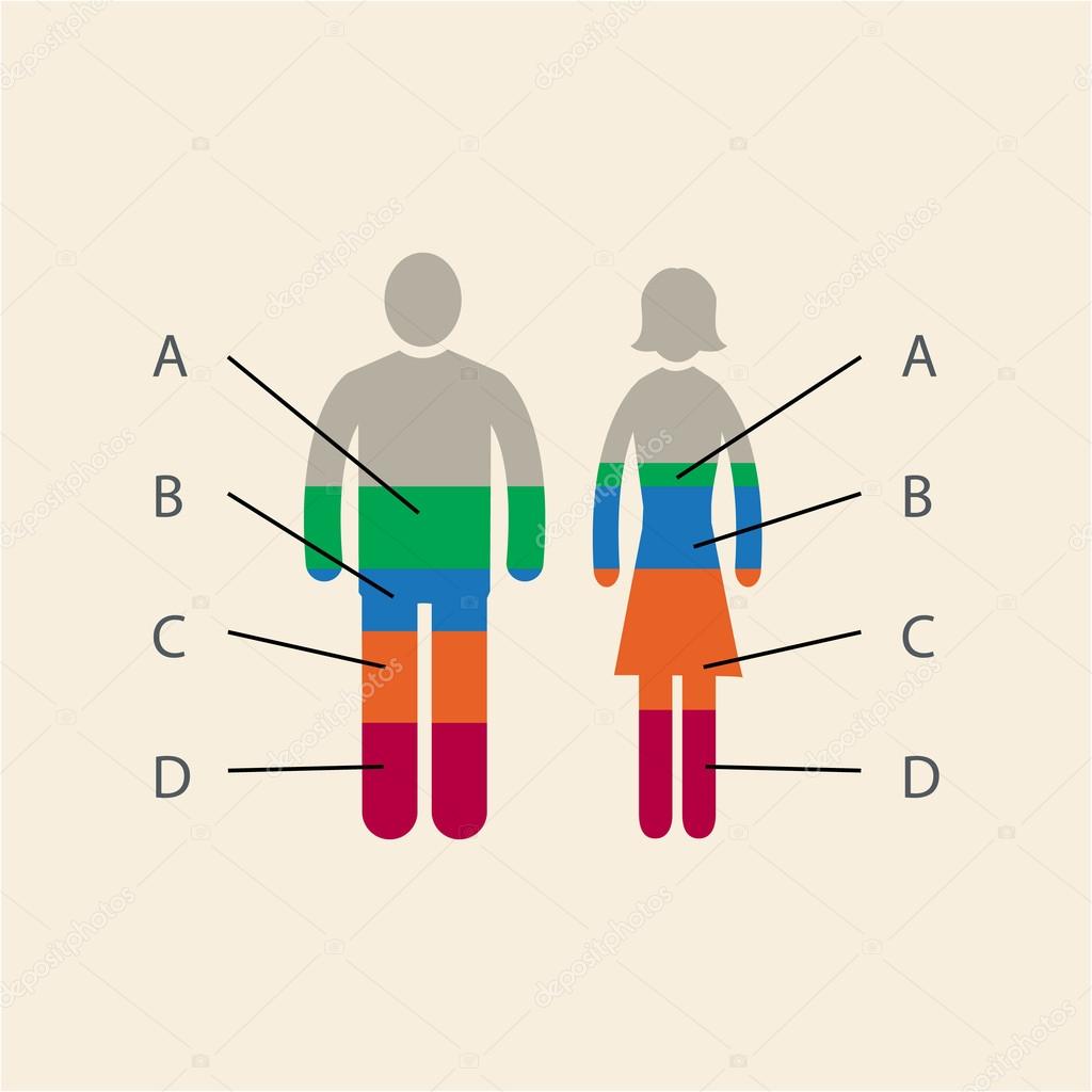 Conceptual infographic gender chart Stock Vector Image by ©HonzaHruby ...