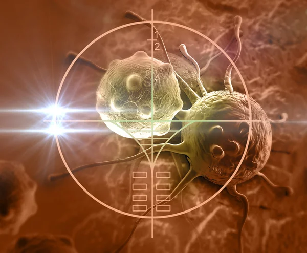 Células muertas fotos de stock, imágenes de Células muertas sin ...