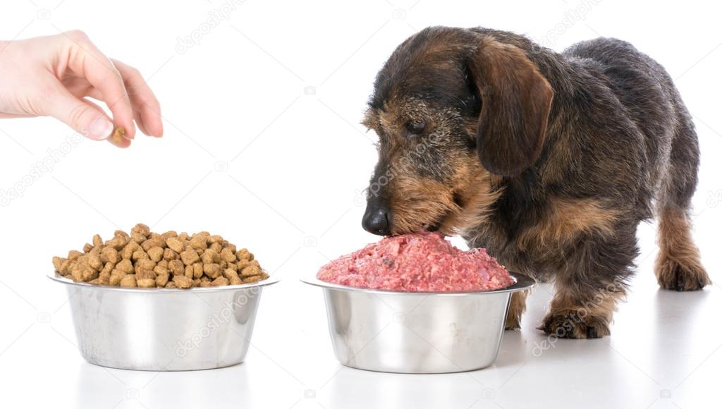 Alimentación cruda o chibble: fotografía de stock © willeecole ...