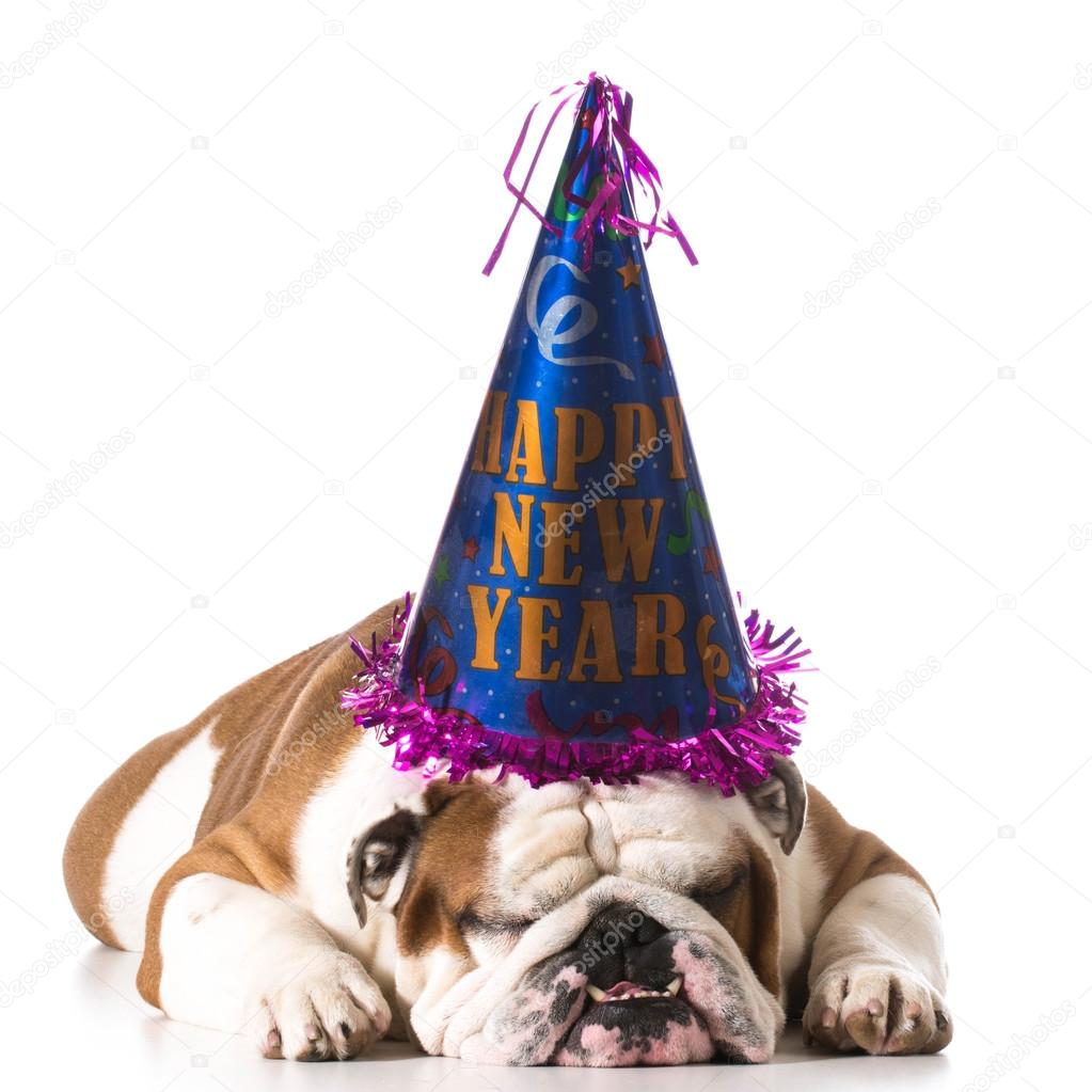 Happy new year dog Stock Photo by ©willeecole 61120071