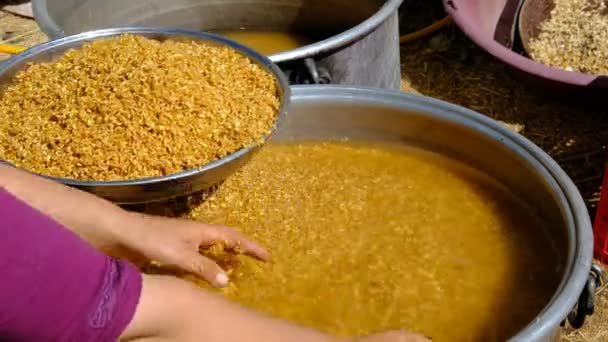 5,676 Reningsprocessen Videos, Royalty-free Stock Reningsprocessen ...