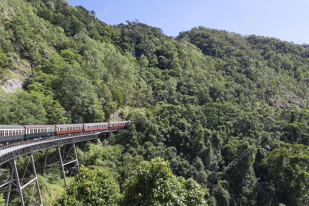 Viajes en tren en Australia Cairns forest: fotografía de stock ...