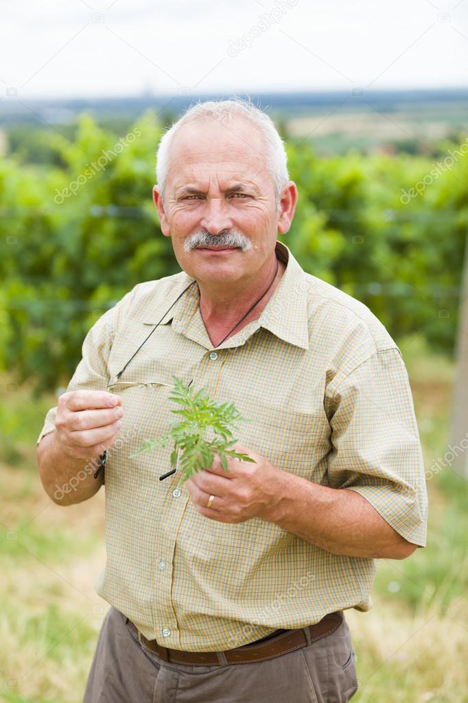 Allergic reaction danger — Stock Photo © Lighthunter #80533640