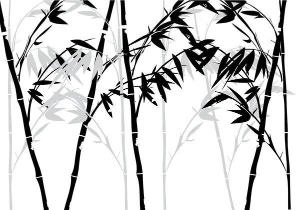 Bamboo line art Vector Art Stock Images | Depositphotos