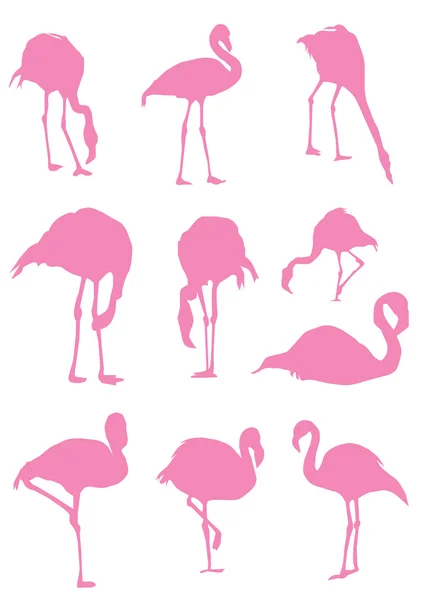 Pink flamingos silhouettes — Stock Vector © Dr.PAS #84193258