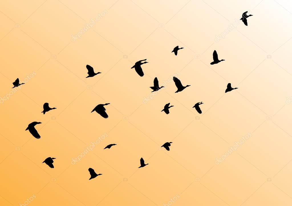 Birds Flying Vector Stock Vector Image by ©lilac-design #94987372