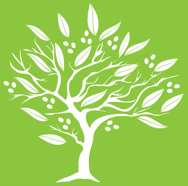 1,320 Old olive tree Vector Images, Royalty-free Old olive tree Vectors ...