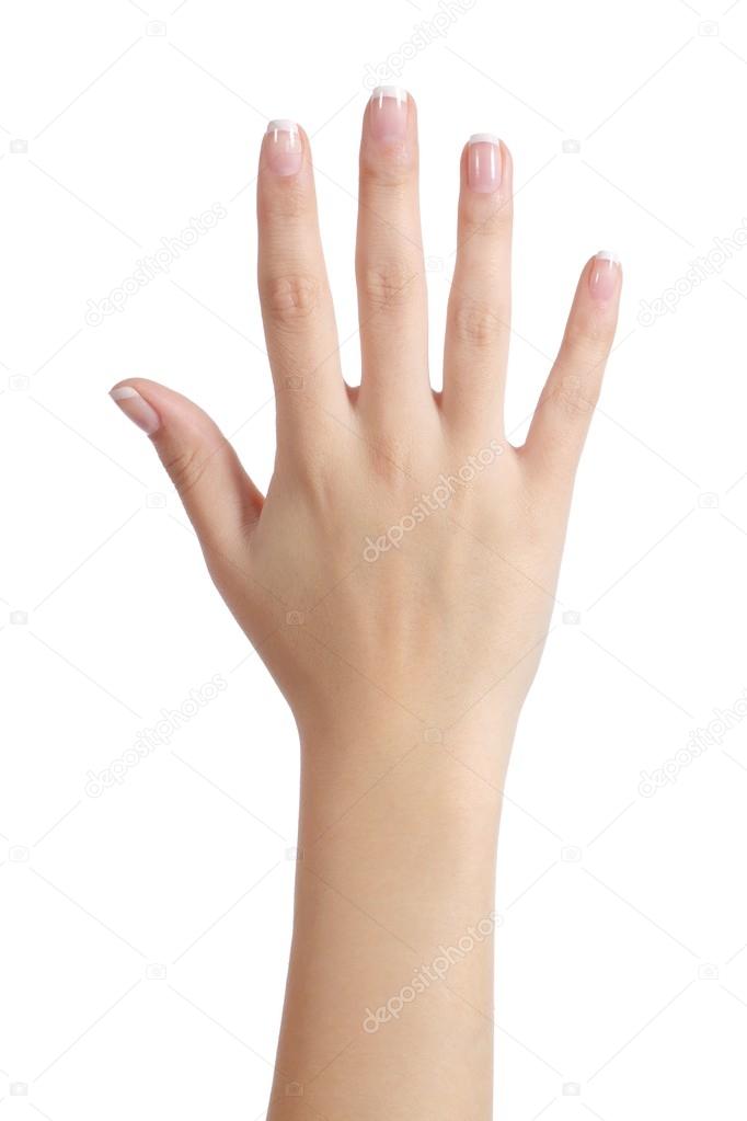 Woman open hand with french manicure Stock Photo by ©AntonioGuillemF ...