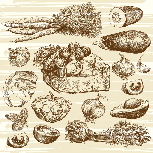 13,444 Hand drawn vegetables Vector Images | Depositphotos