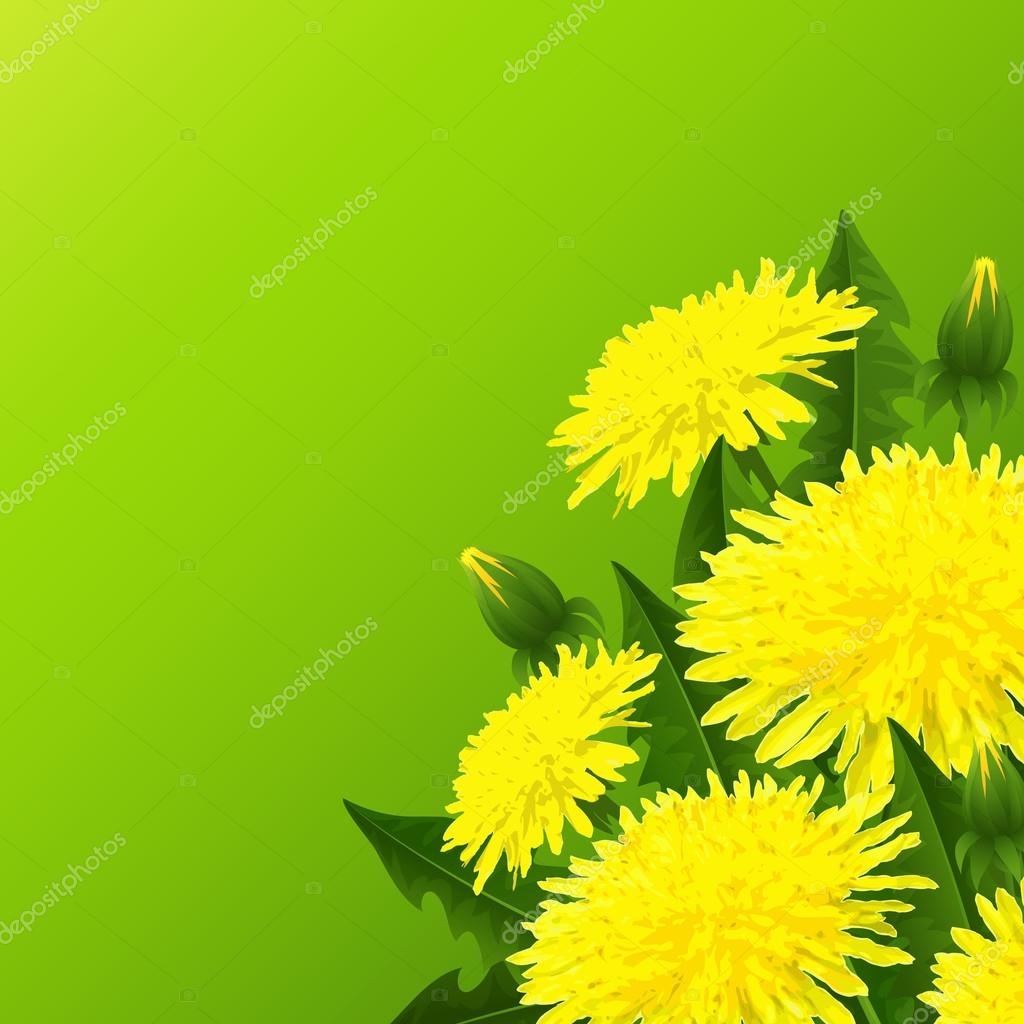 Gul maskros blomma vektor av ©Johnny-ka 66979065