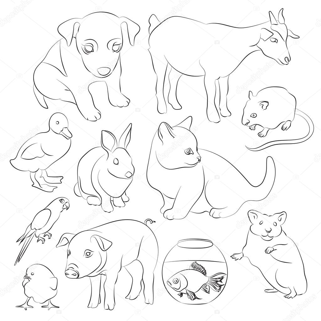 Animals pets vector icons set Stock Vector Image by ©Netkoff #108896266