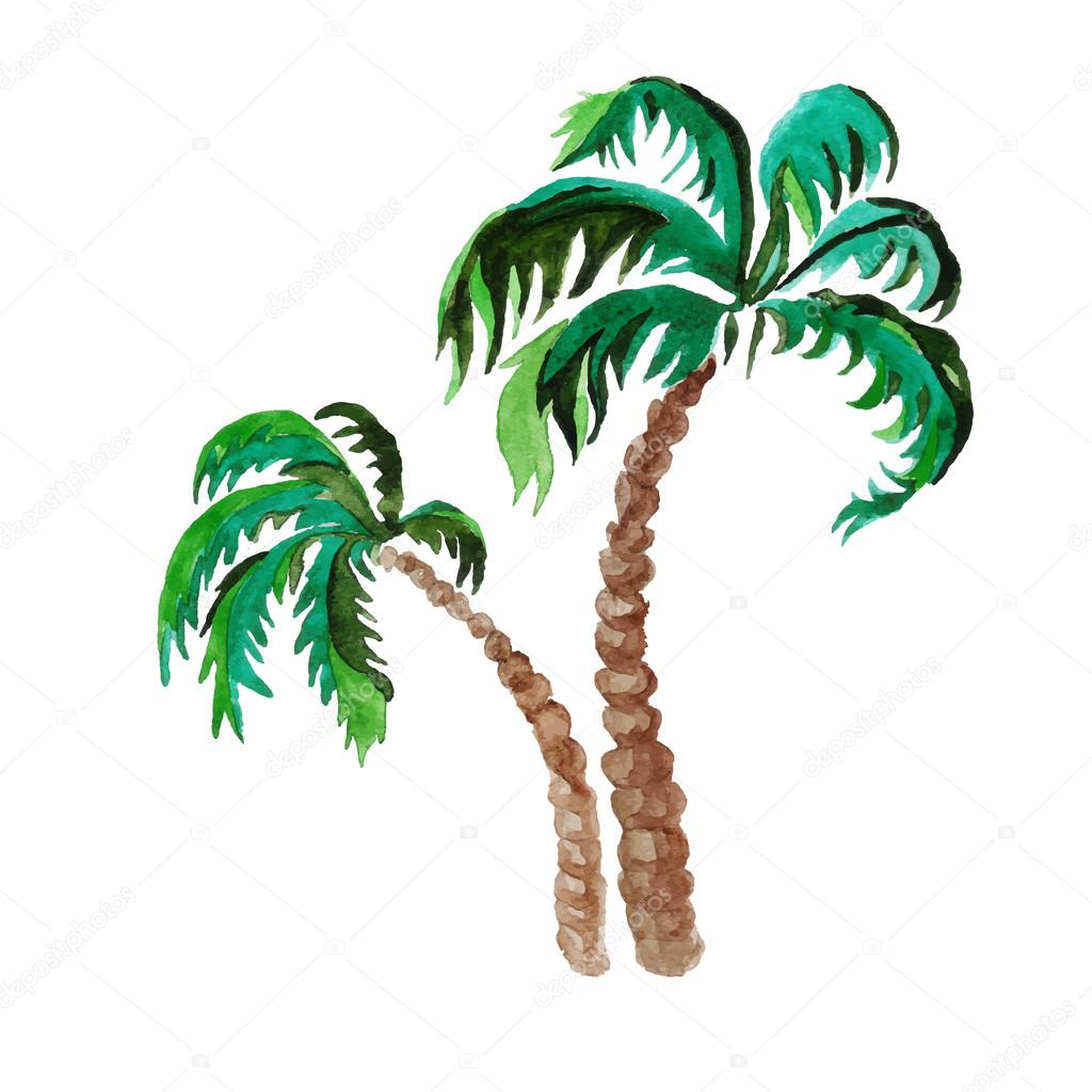 Las palmas. acuarela pintura sobre fondo blanco Vector de stock ...