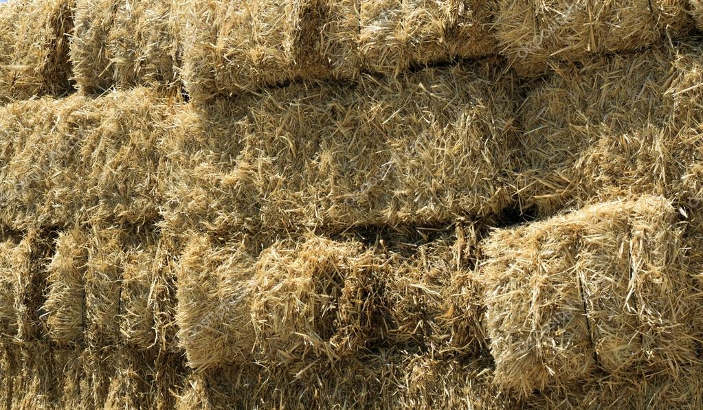 Stacked Straw Hay Bails — Stock Photo © mauriziobiso_1 #61065985