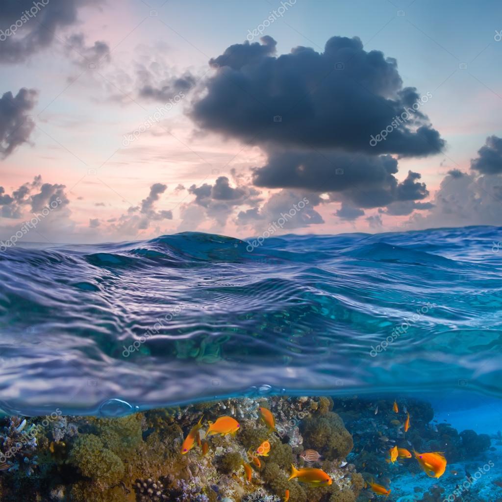 Transparent sea with sunset sky Stock Photo by ©vitaliy_sokol 71506363